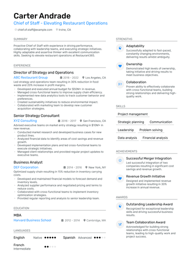 49 Executive Resume Examples, Templates & Guide for 2025