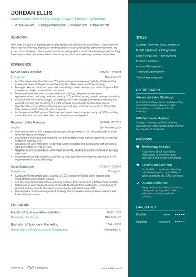 30 Sales Resume Examples & Guide for 2025