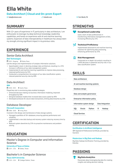 3 Enterprise Architect Resume Examples & Guide for 2024