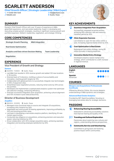49 Executive Resume Examples, Templates & Guide for 2025