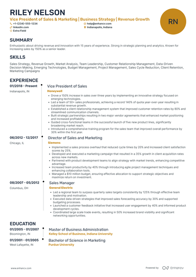 49 Executive Resume Examples, Templates & Guide for 2025