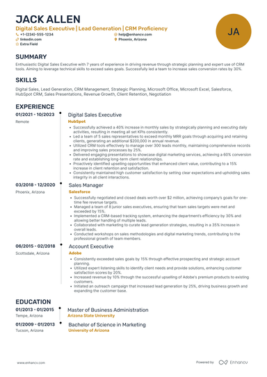 21 Sales Executive Resume Examples & Guide for 2025
