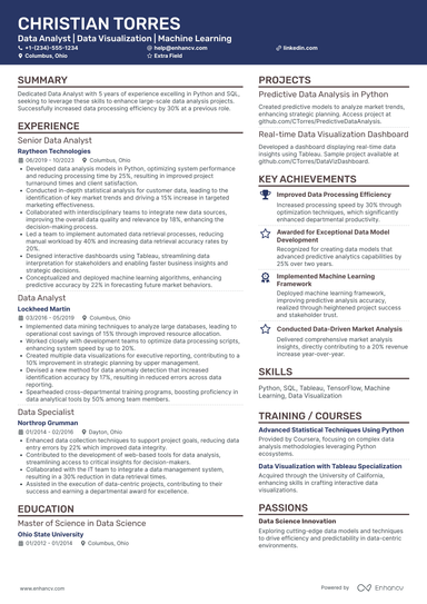 19 Data Mining Resume Examples & Guide for 2025