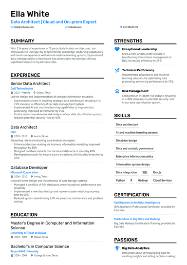 3 Enterprise Architect Resume Examples & Guide for 2024