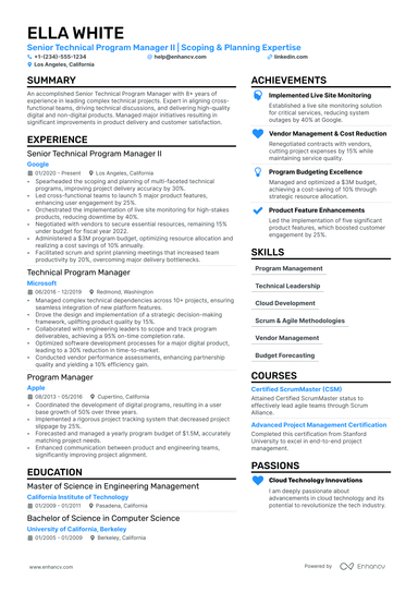 17 Program Manager Resume Examples & Guide for 2024