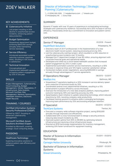 27 Director Resume Examples & Guide for 2025