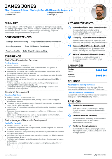 49 Executive Resume Examples, Templates & Guide for 2025