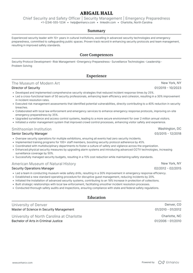 13 Chief Security Officer Resume Examples - 2025