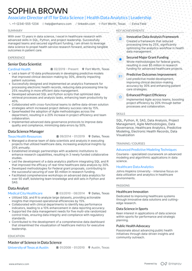 18 IT Director Resume Examples & Guide for 2025