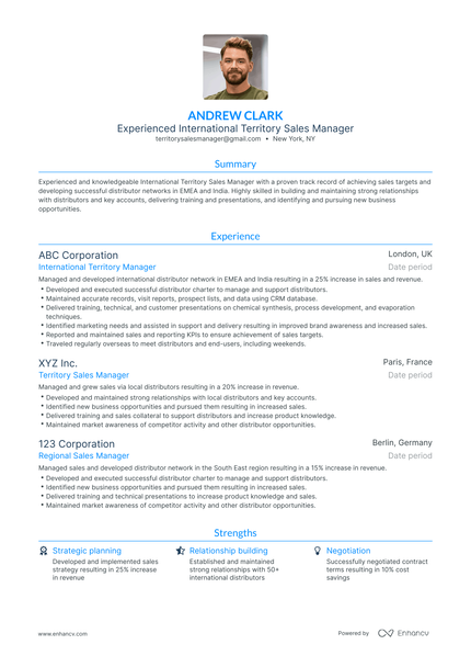 5 Territory Sales Manager Resume Examples & Guide for 2024