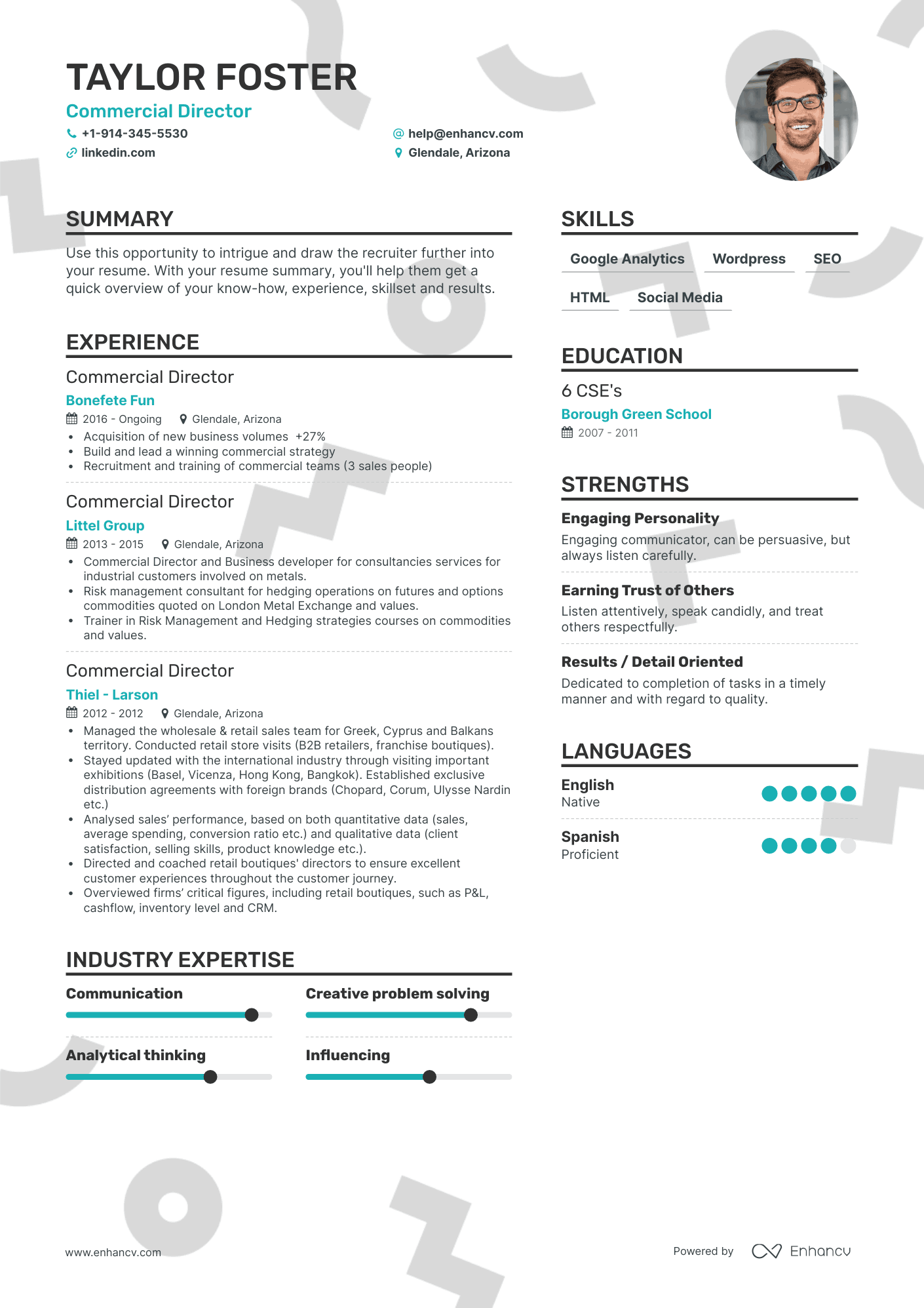 Commercial Director Resume Examples & Guide for 2023 (Layout, Skills ...