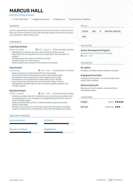Statistical Data Analyst Resume Examples & Guide for 2023 (Layout ...