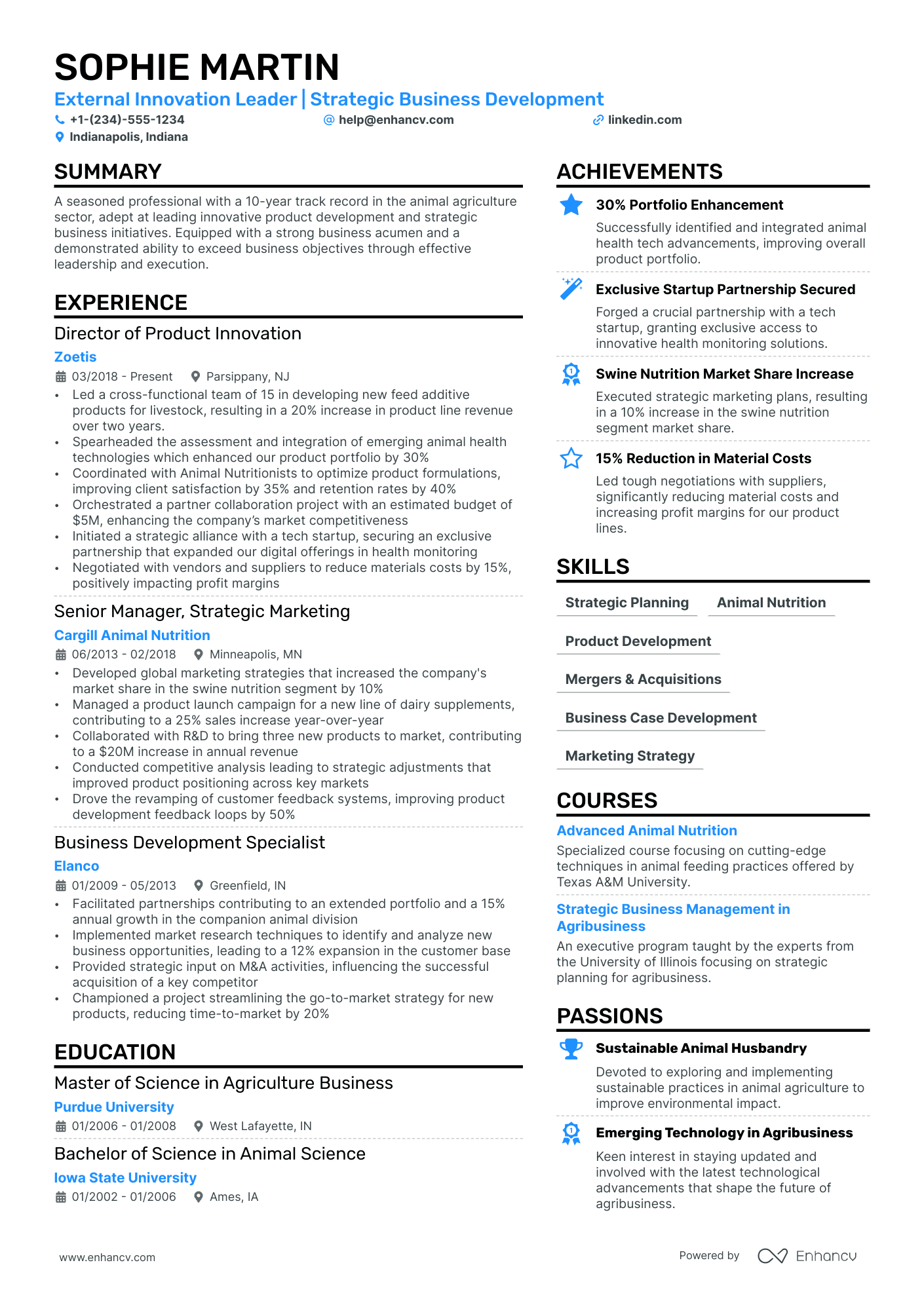 49 Executive Resume Examples, Templates & Guide for 2026