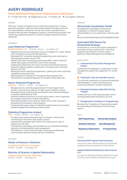 5 Statistical Programmer Resume Examples & Guide for 2024