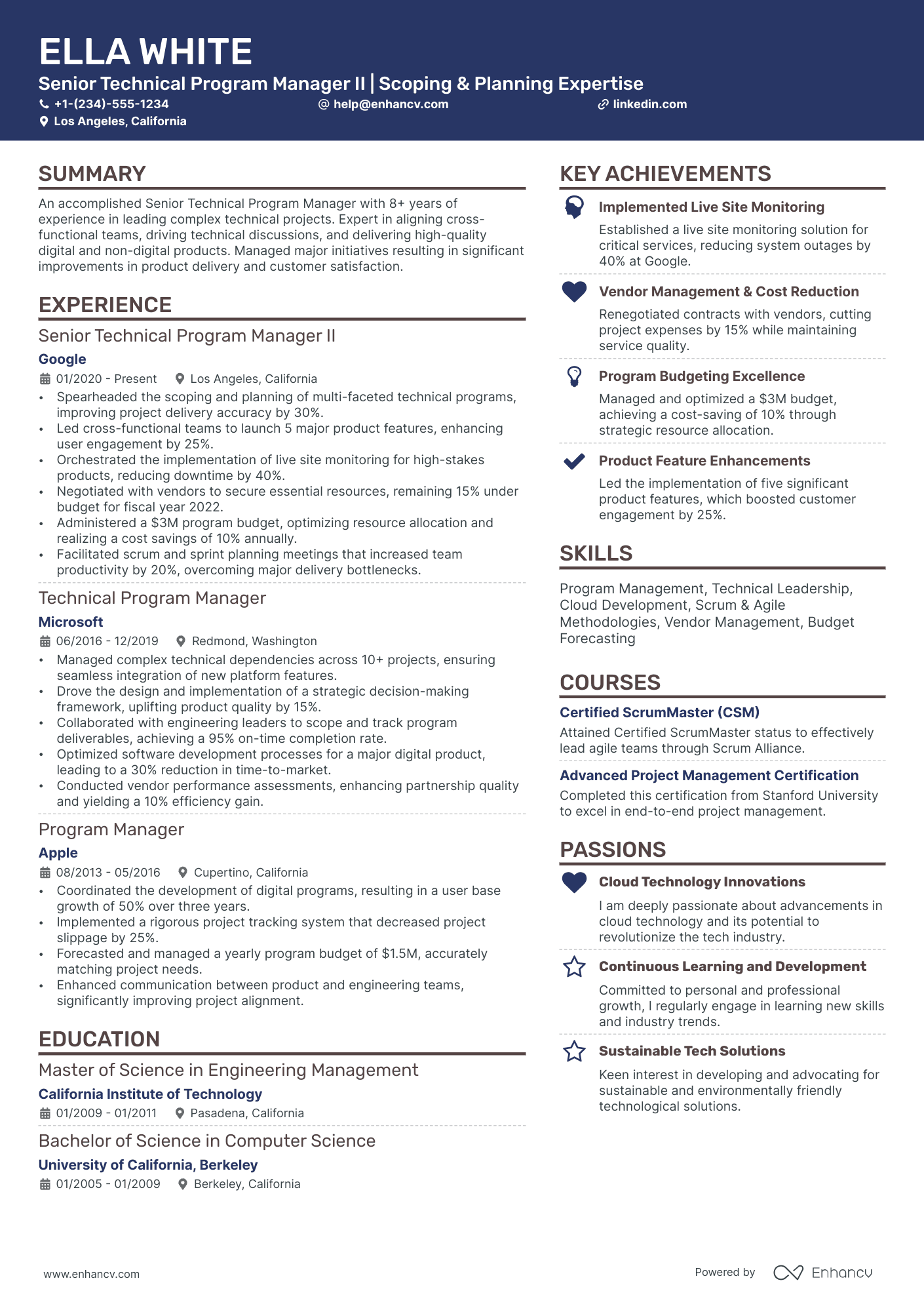 10 Technical Program Manager Resume Examples & Guide for 2025