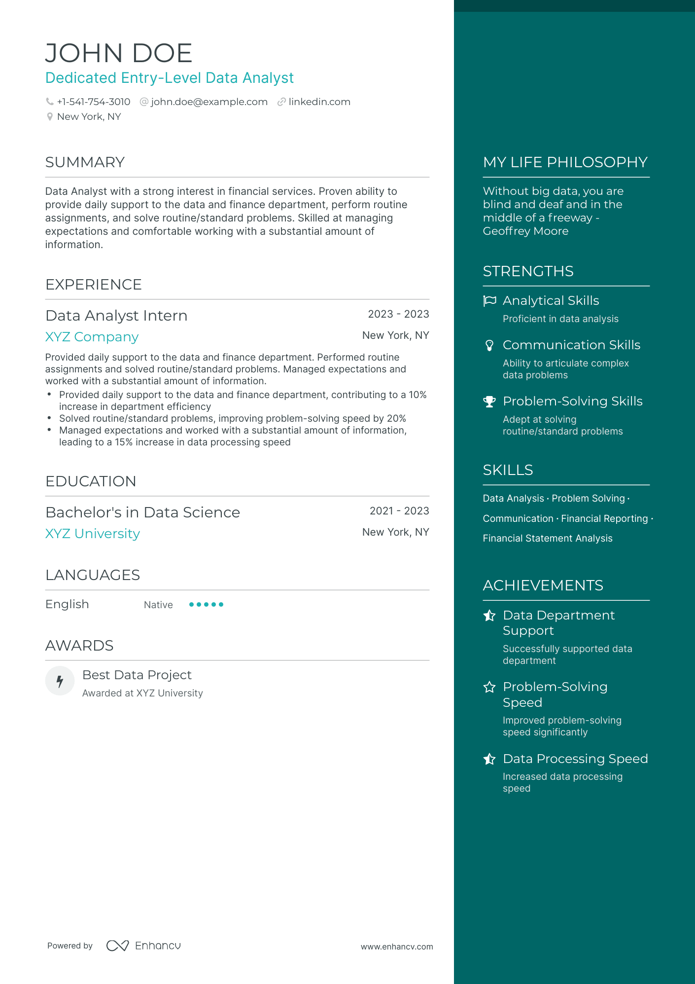 5 Entry-Level Data Analyst Resume Examples & Guide for 2024