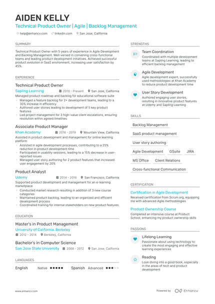 5 Technical Product Owner Resume Examples & Guide for 2024