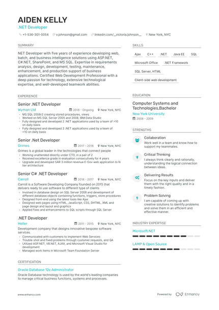 6 Net Developer Resume Examples & Guide for 2023