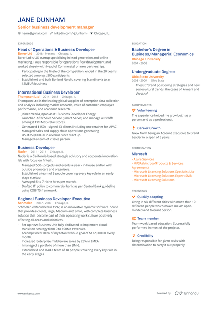 13 Business Development Resume Examples & Guide for 2024