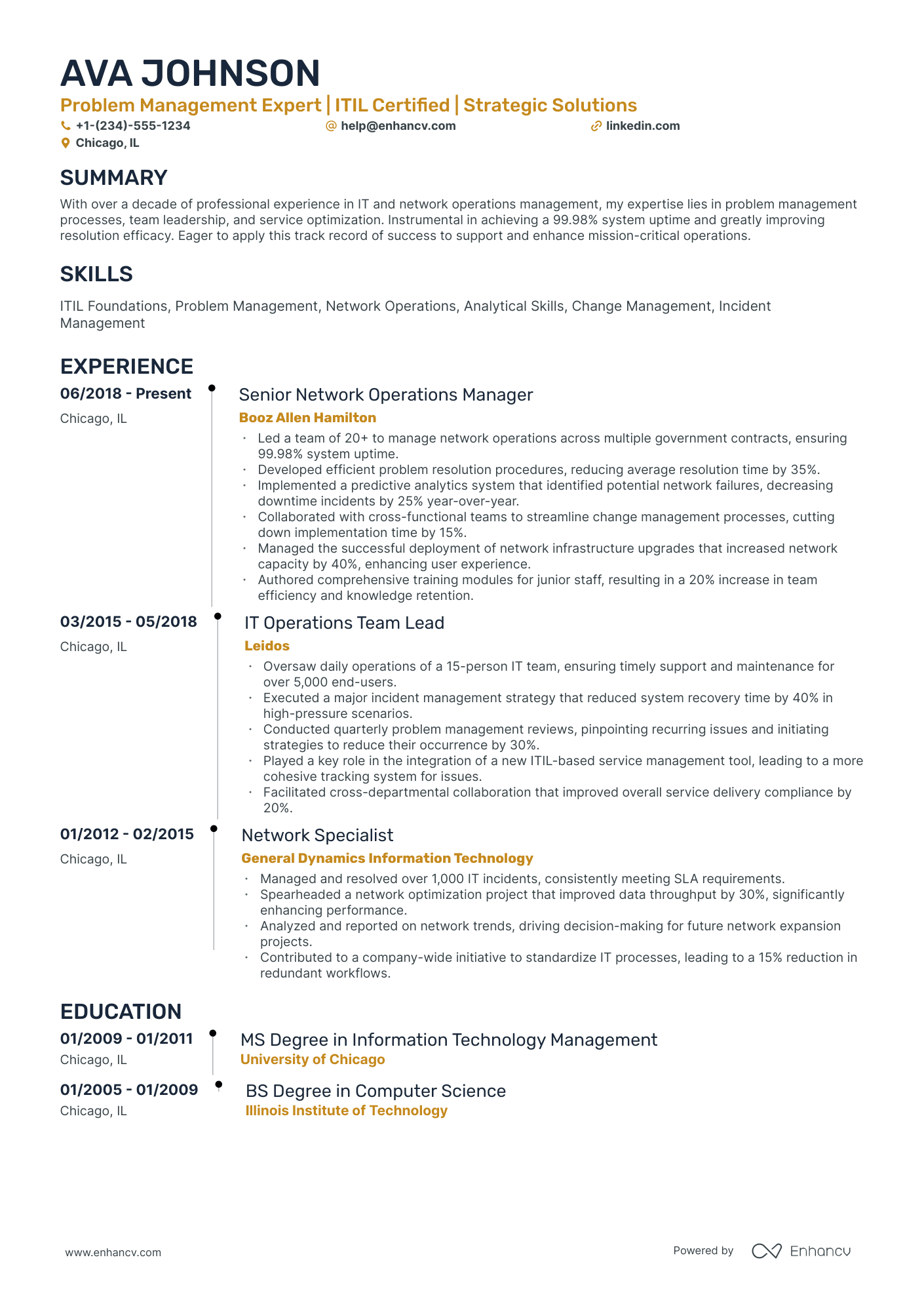 10 Problem Manager Resume Examples & Guide for 2025
