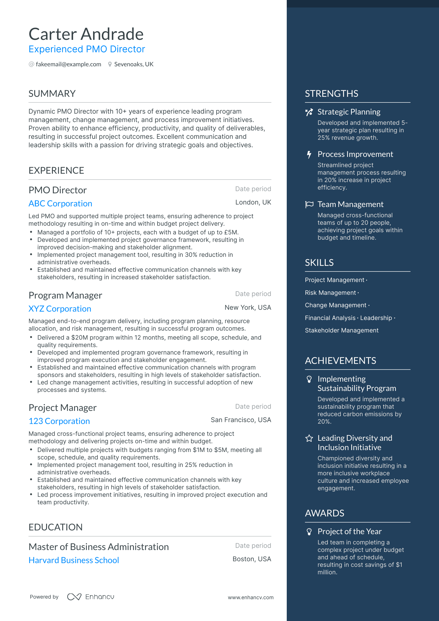 5 Pmo Director Resume Examples & Guide for 2023