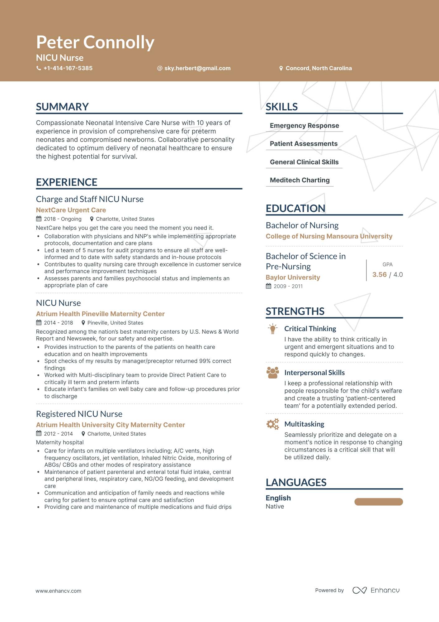 NICU Nurse Resume Examples & Guide for 2023 (Layout, Skills, Keywords ...