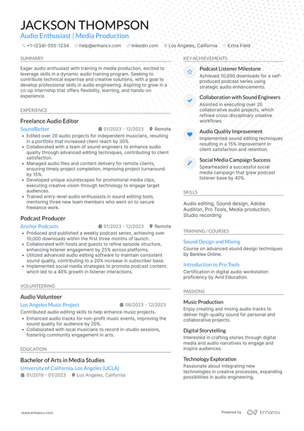 20 Audio Engineer Resume Examples & Guide for 2026