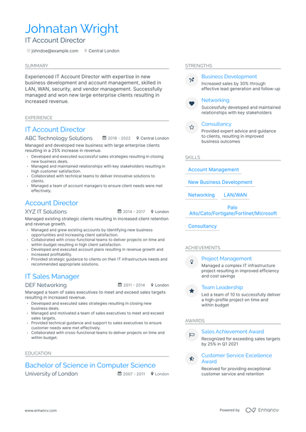 5 Account Director Resume Examples & Guide for 2023