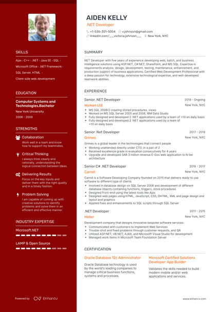 6 Net Developer Resume Examples & Guide for 2023