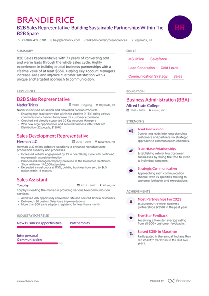 5 B2B Sales Resume Examples & Guide for 2024
