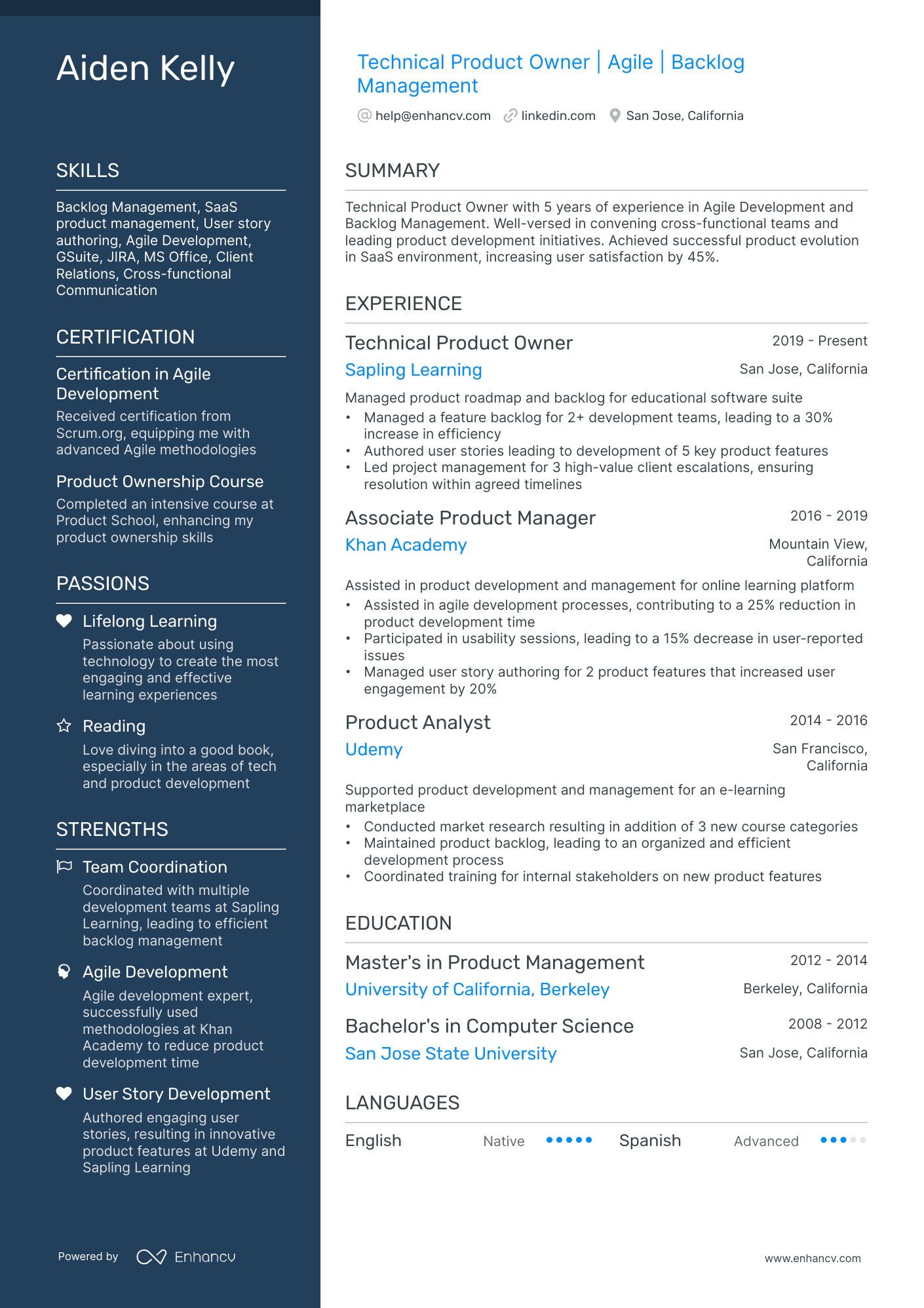 10 Technical Product Owner Resume Examples & Guide for 2025