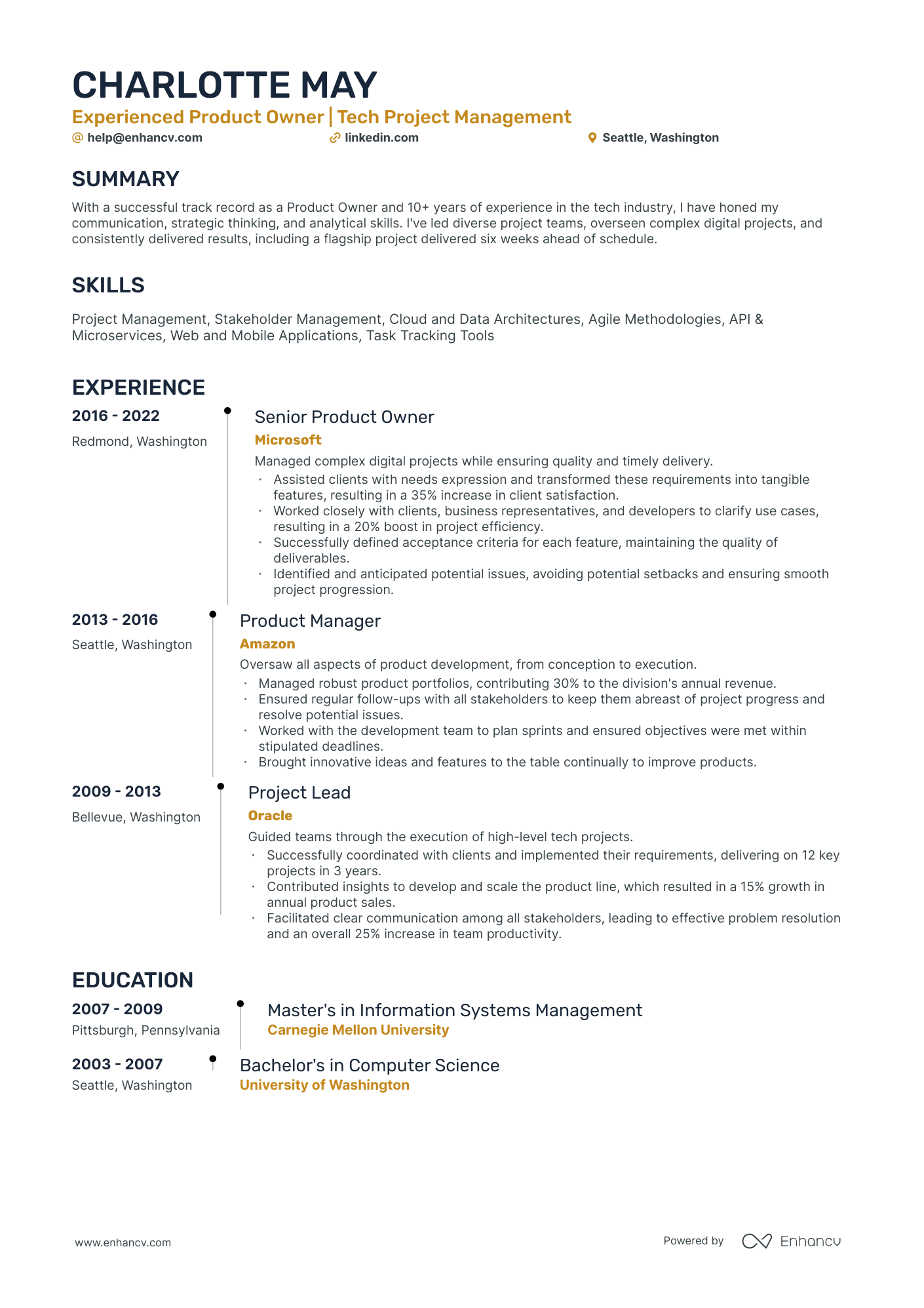 10 Product Owner Resume Examples & Guide for 2025