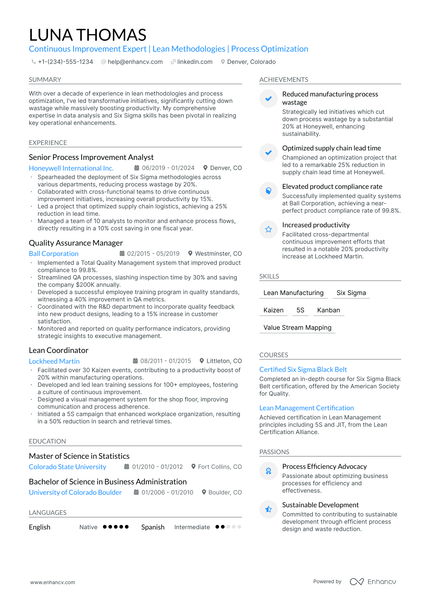 5 Continuous Improvement Manager Resume Examples & Guide for 2024