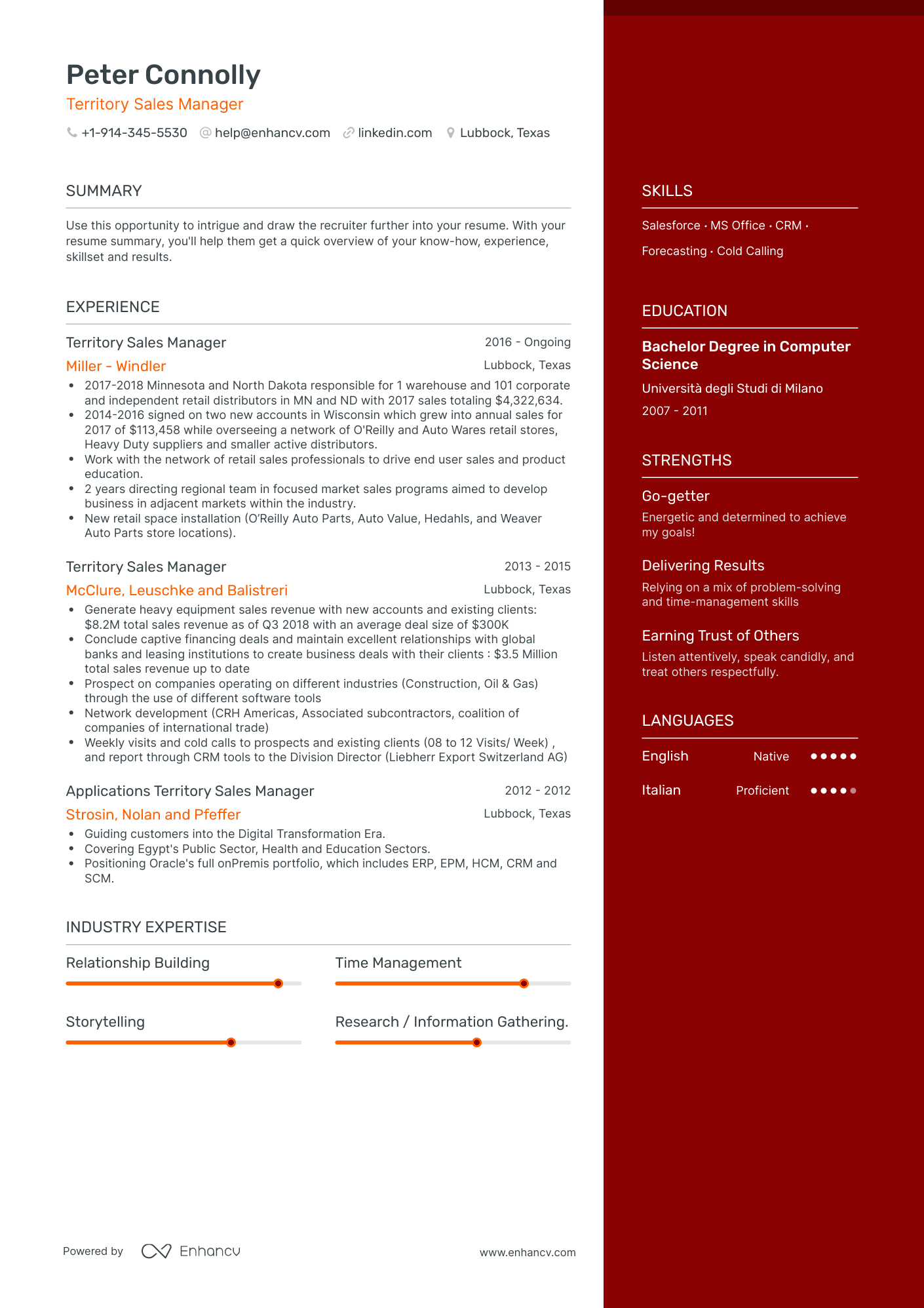 Territory Sales Manager Resume Examples & Guide for 2023 (Layout ...