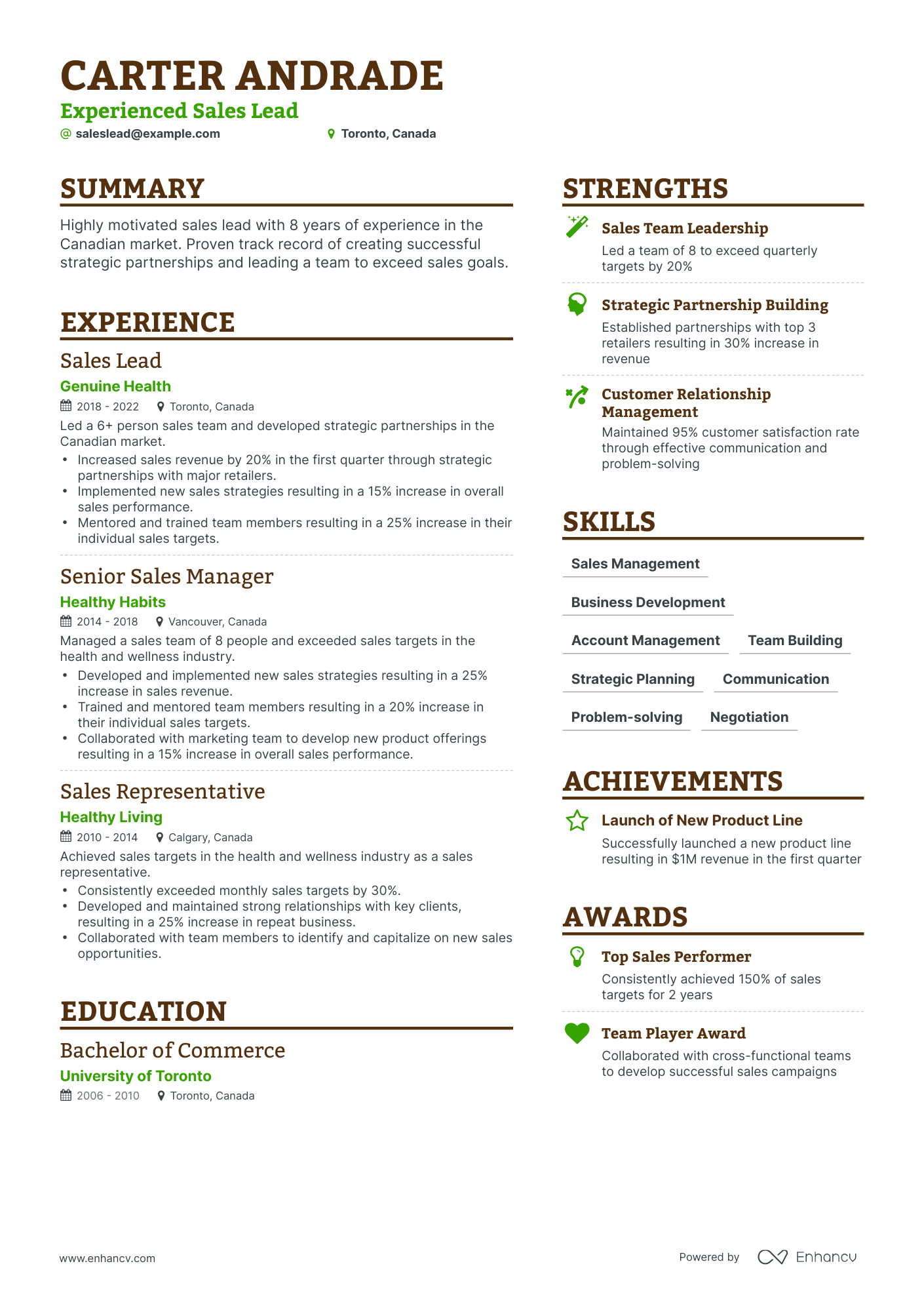 5 Sales Lead Resume Examples & Guide for 2023