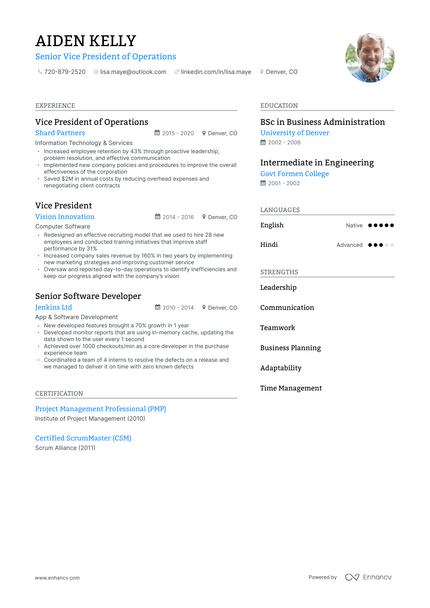 5 Vice President Resume Examples & Guide for 2023