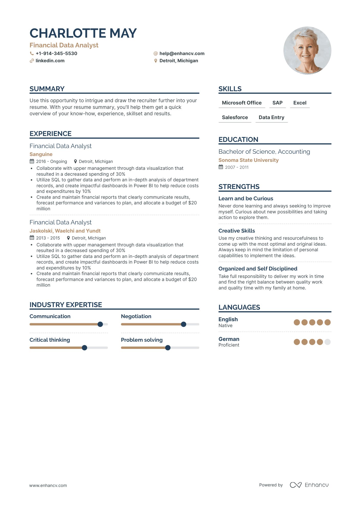 Financial Data Analyst Resume Examples & Guide for 2023 (Layout, Skills ...
