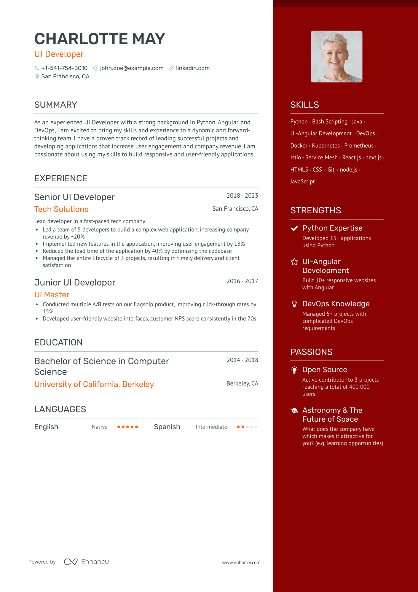 10 UI Developer Resume Examples & Guide for 2024