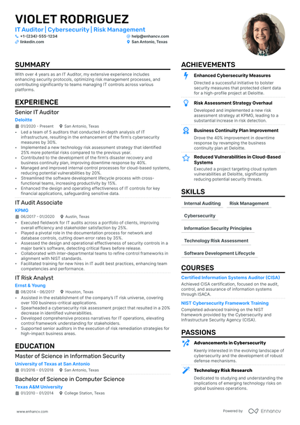 15 Auditor Resume Examples & Guide for 2024