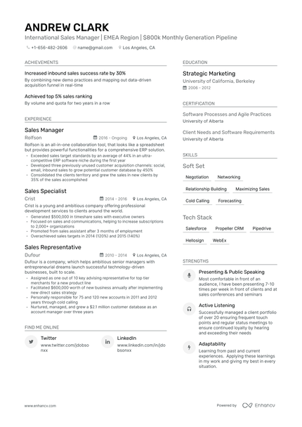 23 Sales Manager Resume Examples & Guide for 2024