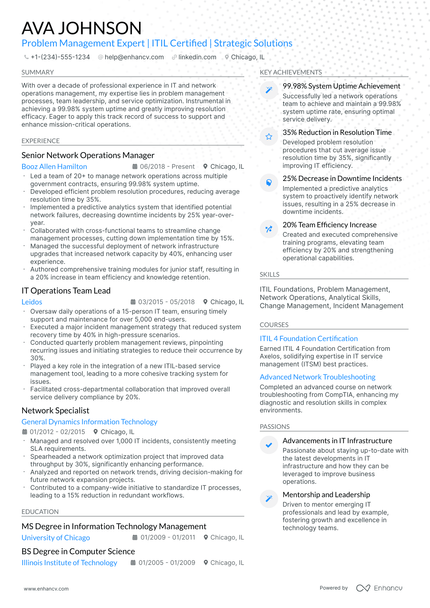 10 Problem Manager Resume Examples & Guide for 2025