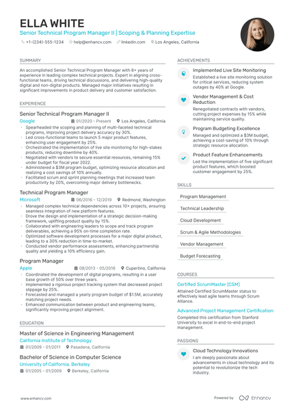5 Technical Program Manager Resume Examples & Guide for 2024