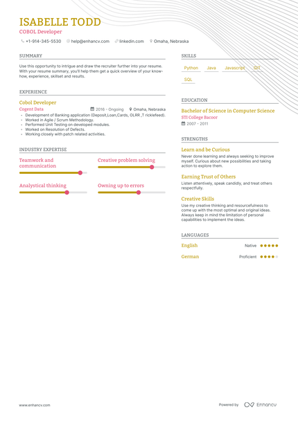 COBOL Developer Resume Examples & Guide for 2023 (Layout, Skills ...