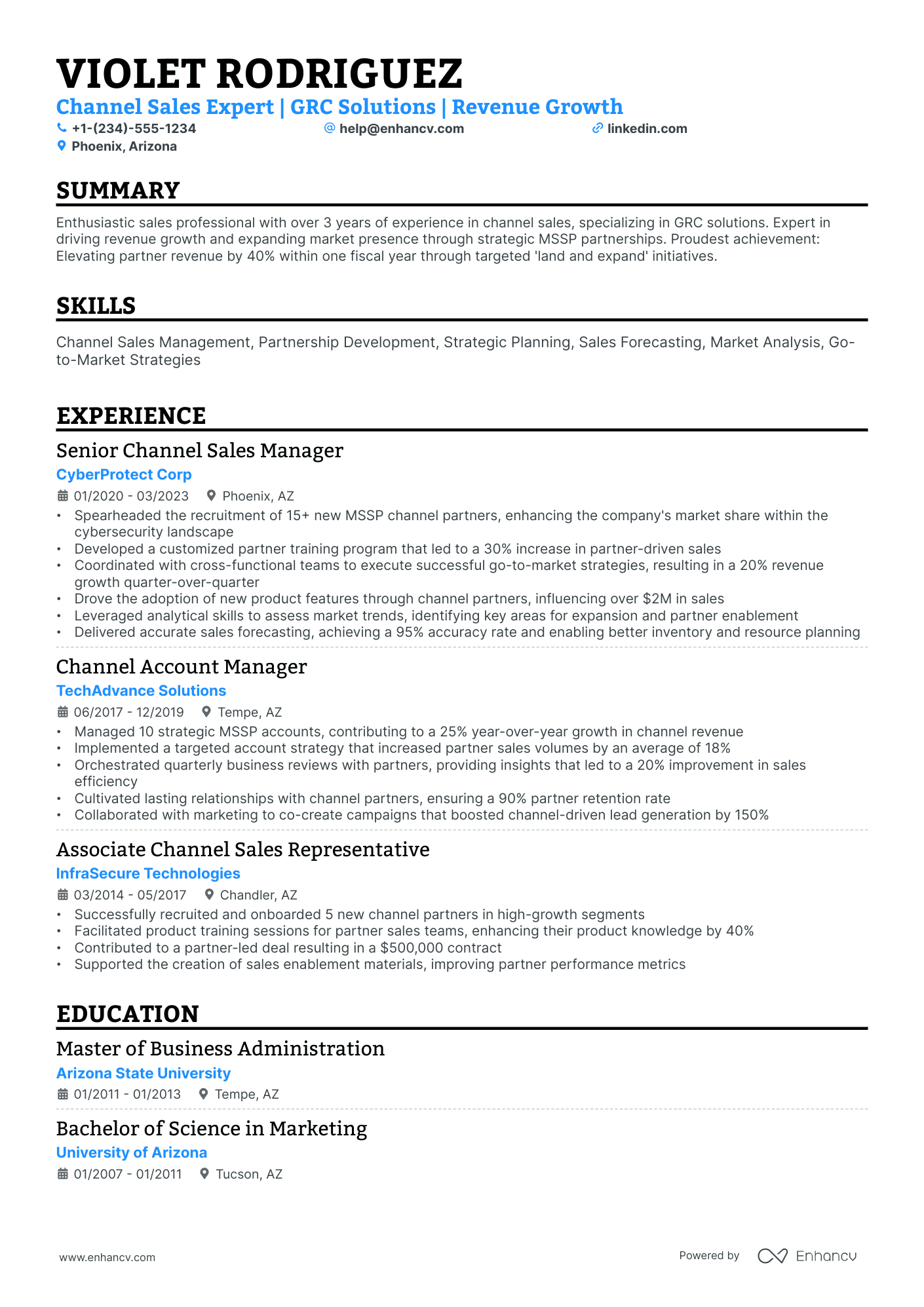 10 Channel Sales Manager Resume Examples & Guide for 2025