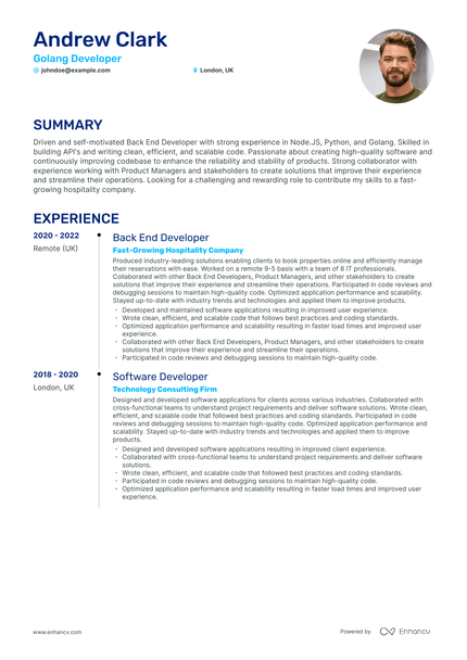 5 Golang Developer Resume Examples Guide For 2024