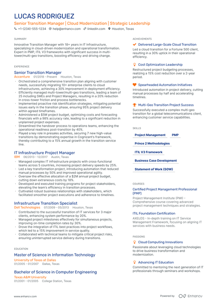 5 Transition Manager Resume Examples & Guide for 2024