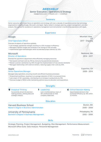 5 Board of Directors Resume Examples & Guide for 2024