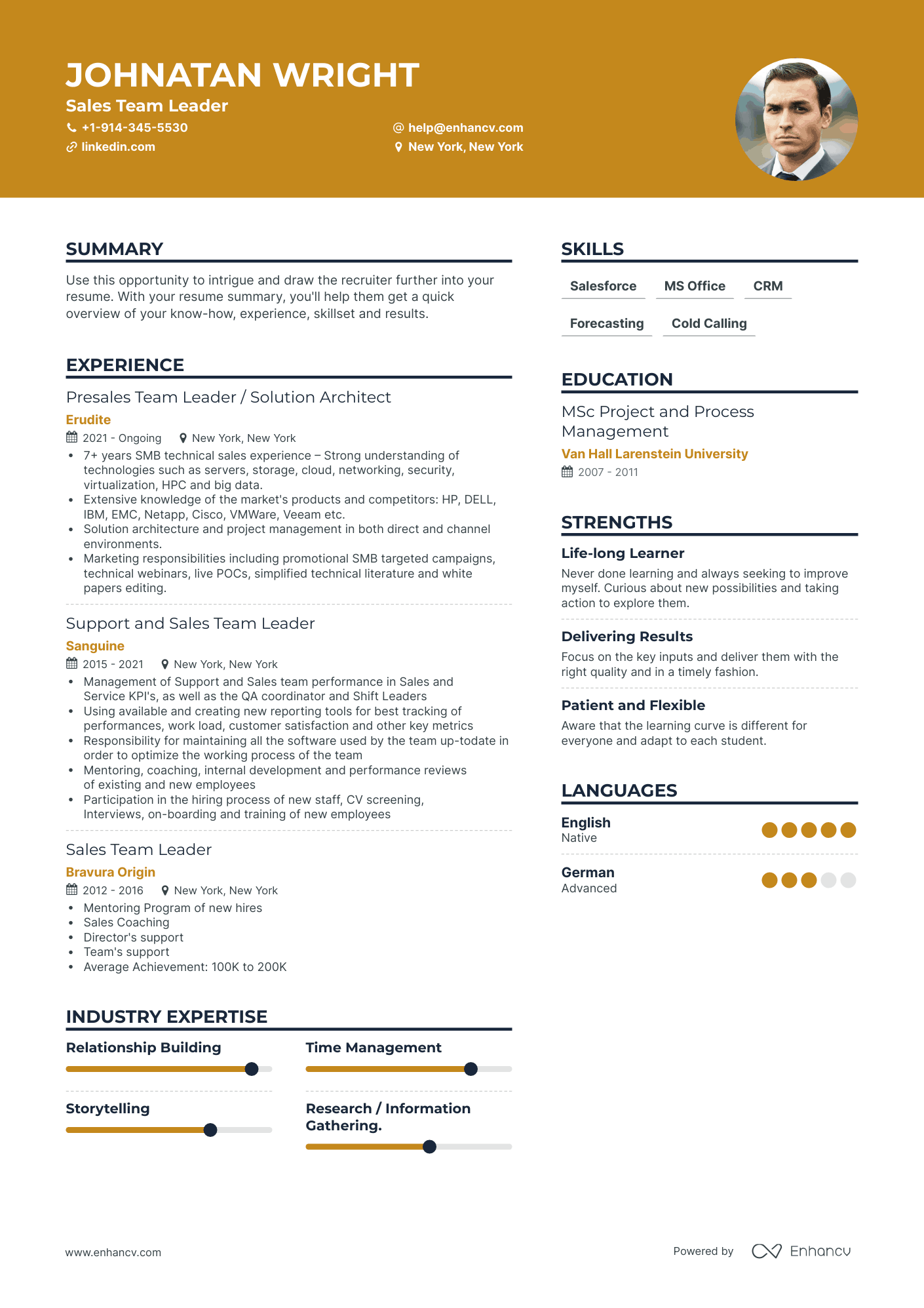 Sales Team Leader Resume Examples & Guide for 2023 (Layout, Skills ...