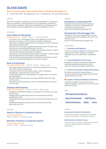 5 Freelance Developer Resume Examples & Guide for 2024