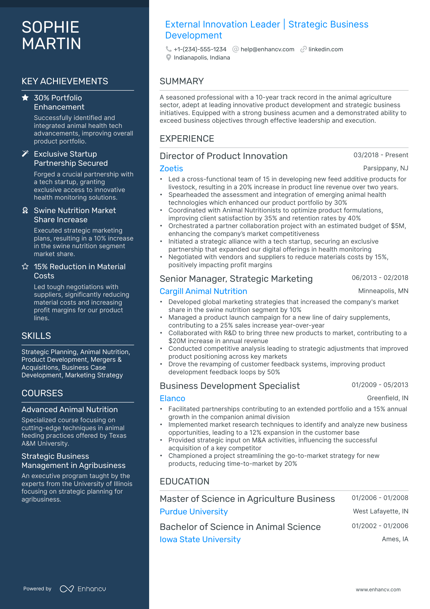 10 Executive Manager Resume Examples, Templates & Guide for 2026